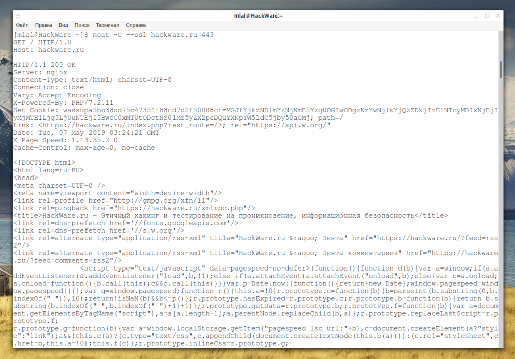 What is netcat (nc), ncat and how to use it? - HackYourMom