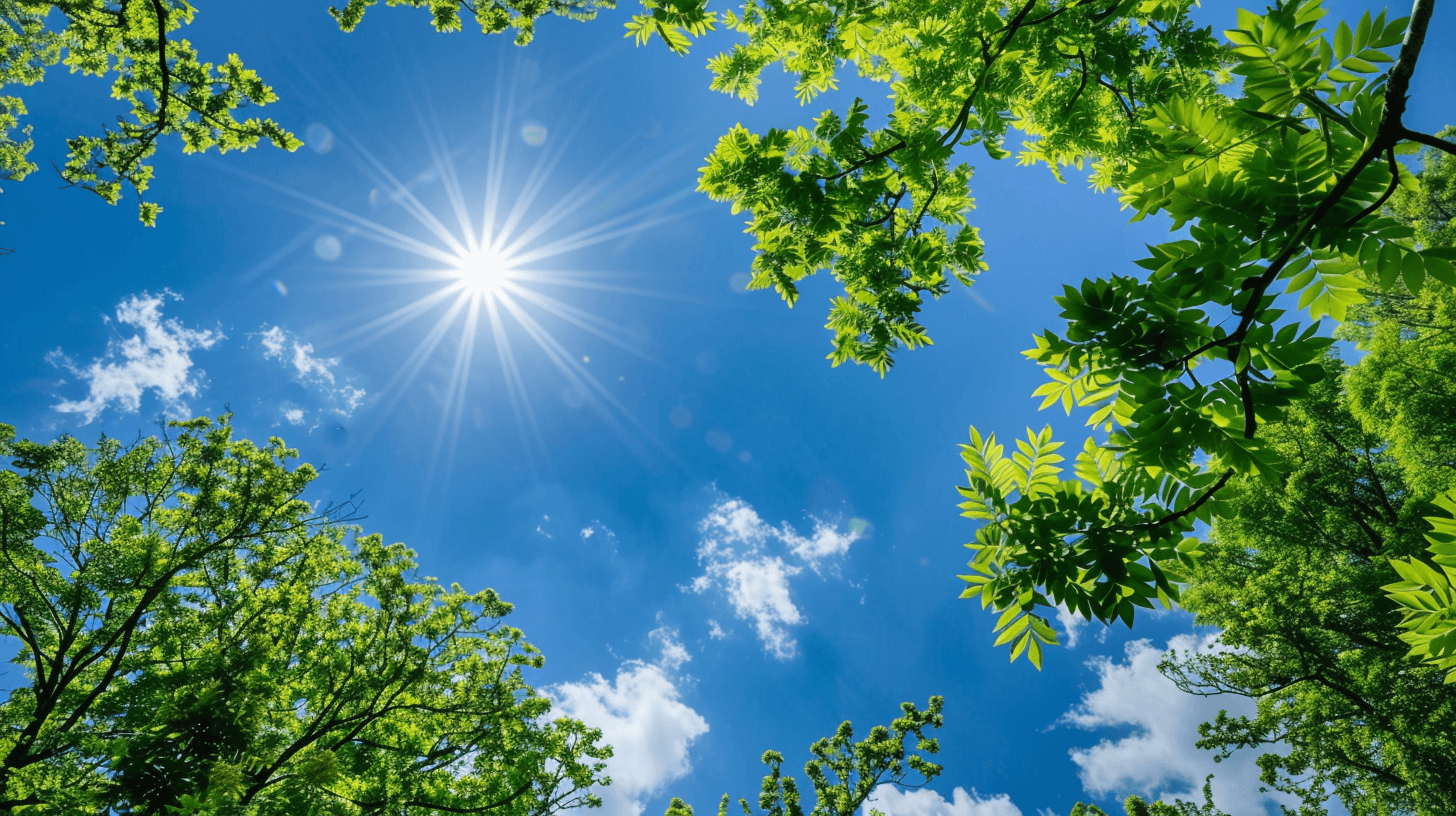 Інструменти для відстеження погоди - HackYourMom